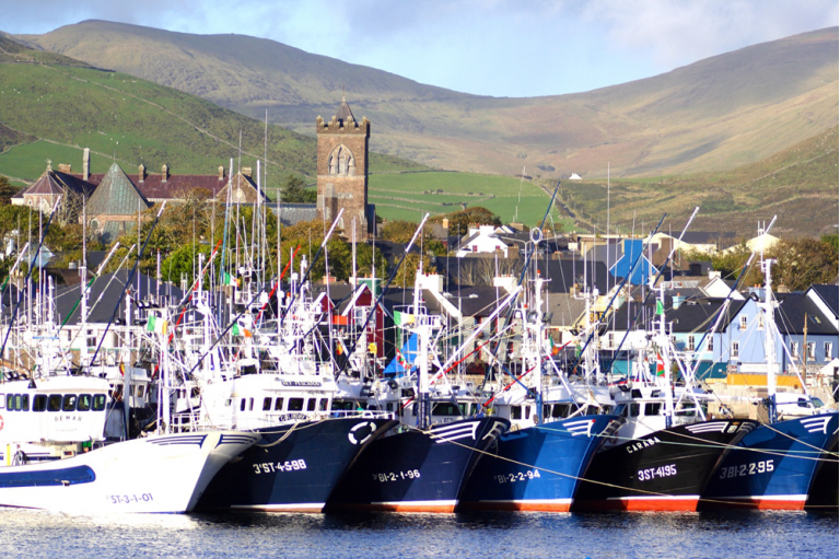 Dingle and Surrounds - Dingle Garden Town House Self Catering in the ...